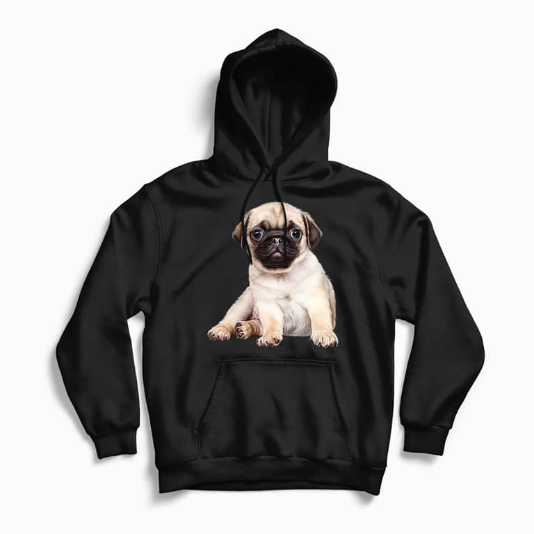 Pug Puppy duks