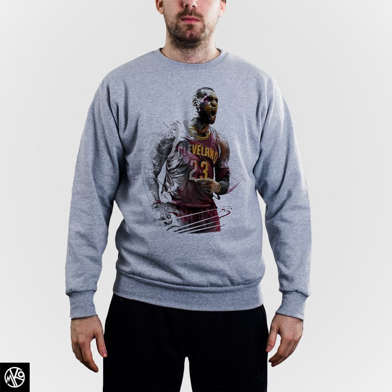 Lebron James Illustration duks