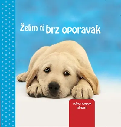 Želim ti brz oporavak