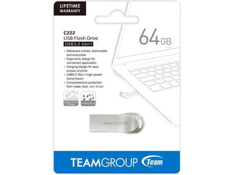 TeamGroup 64GB C222 USB 3.2 SILVER TC222364GS01