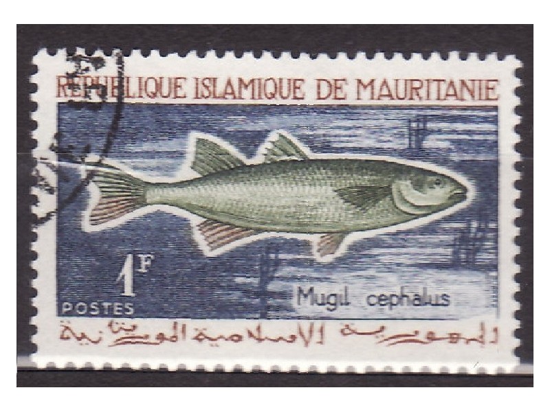 Mauritanija - riba