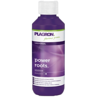 Plagron Power Roots 100ml