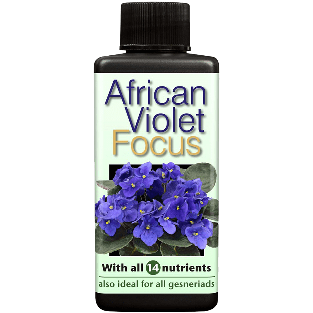 African Violet Focus 100ml