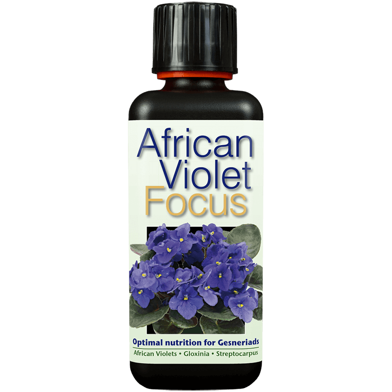 African Violet Focus 300ml