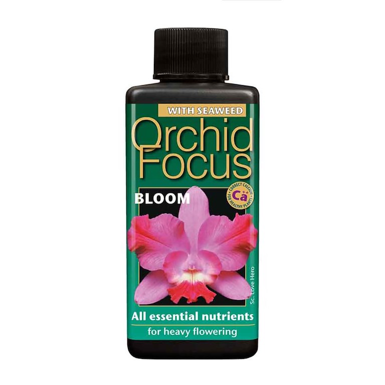 Orchid Focus Bloom 100ml