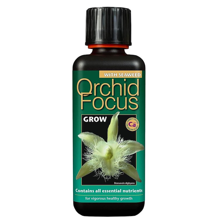 Orchid Focus Grow 300ml