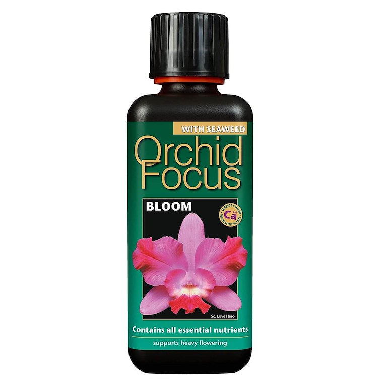 Orchid Focus Bloom 300ml