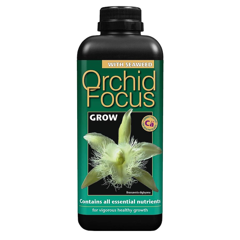 Orchid Focus Grow 1L