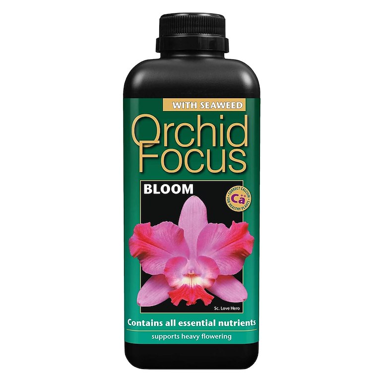 Orchid Focus Bloom 1L