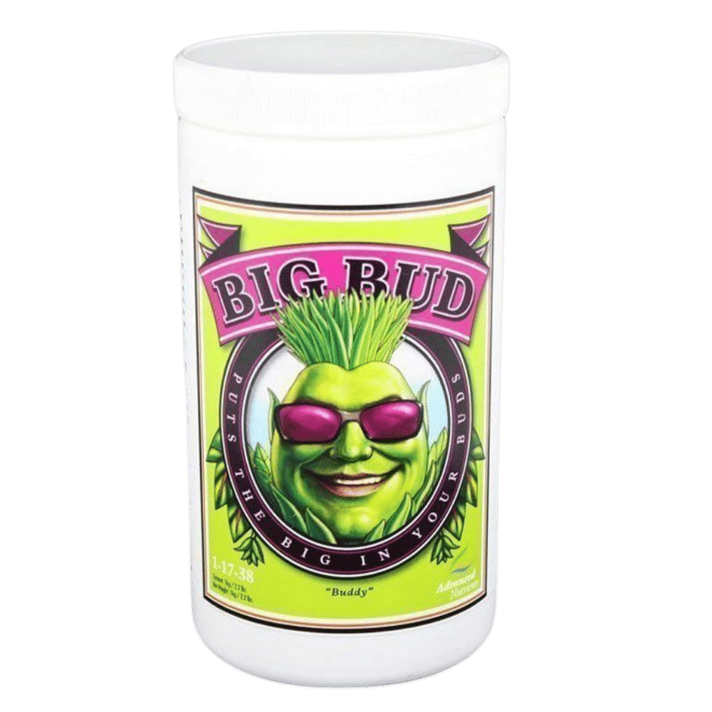 Big Bud Powder 1 kg