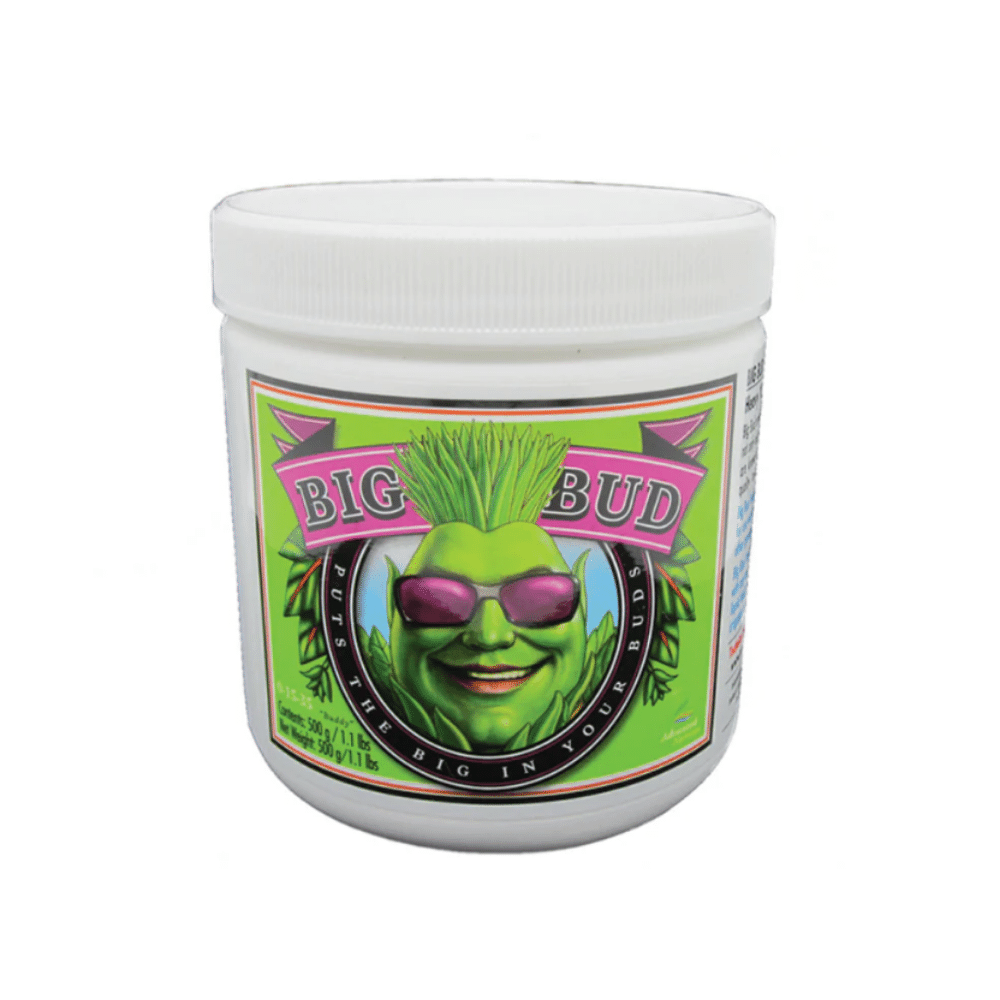 Big Bud Powder 500 gr