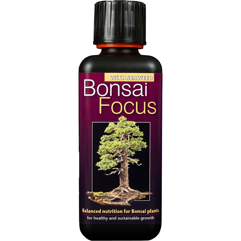 Bonsai Focus 300ml