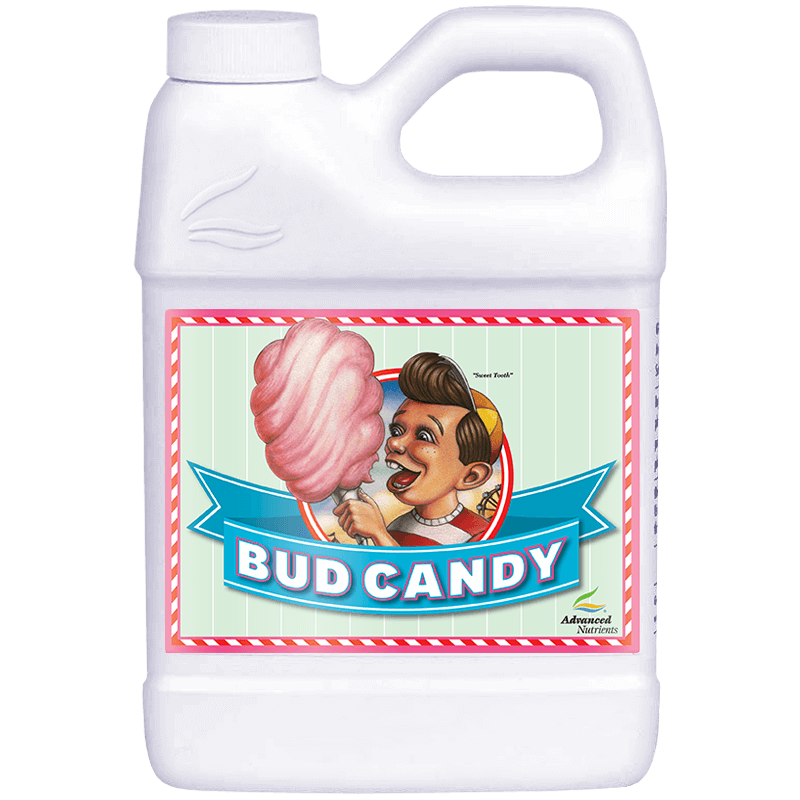 Bud Candy 500ml