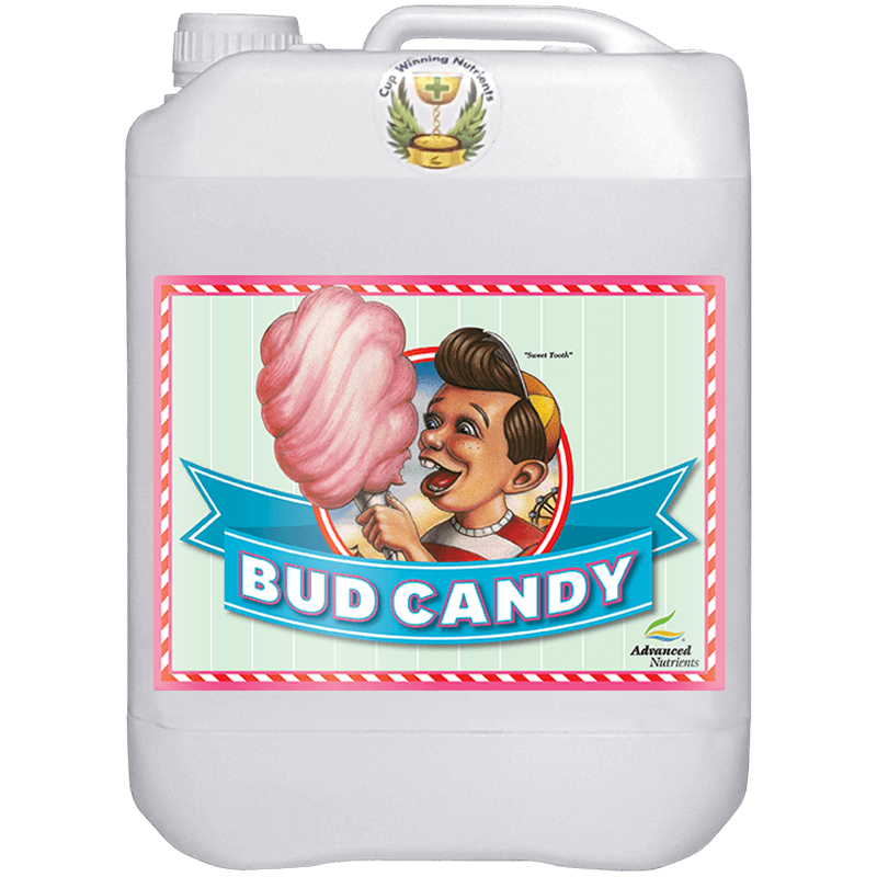 Bud Candy 5L