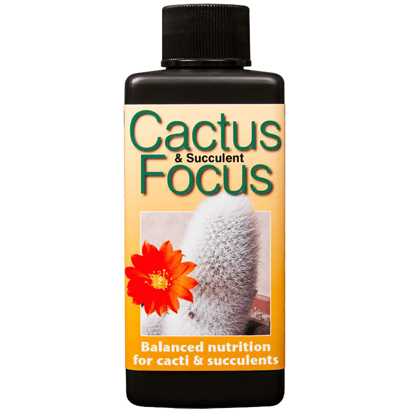 Cactus Focus 100ml