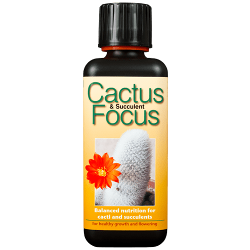 Cactus Focus 300ml