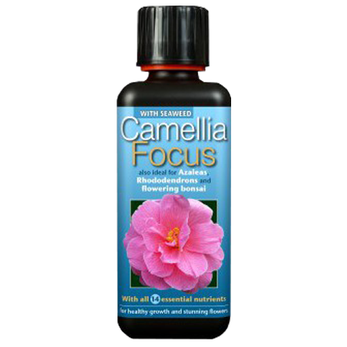 Camellia Focus 300ml