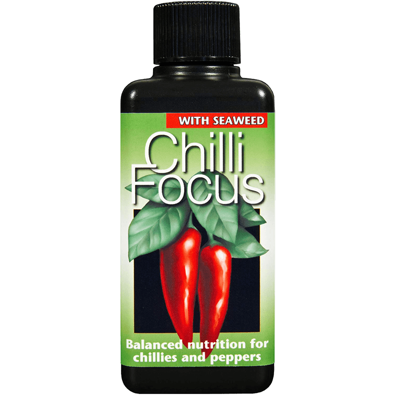 Chilli Focus 100ml