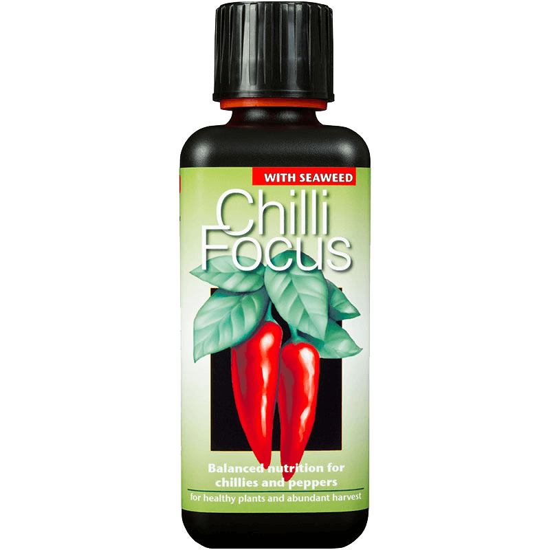 Chilli Focus 300ml