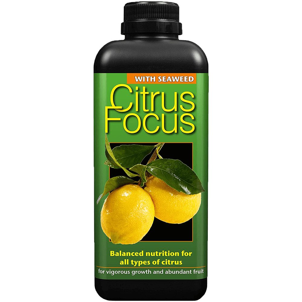 Citrus Focus 1L