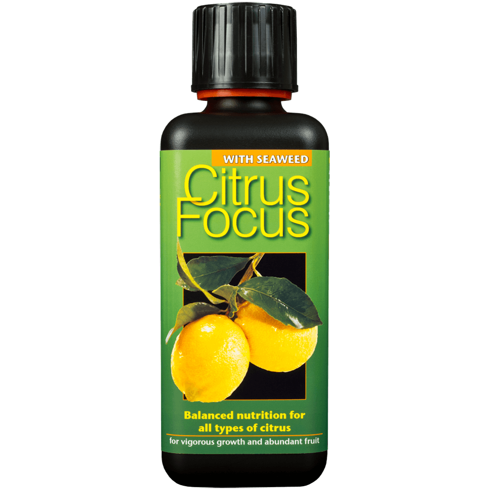 Citrus Focus 300ml