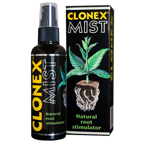 Clonex Mist 100ml