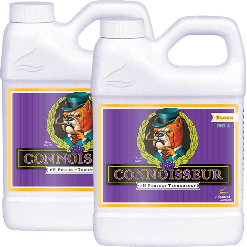 Connoisseur Bloom AB 500ml