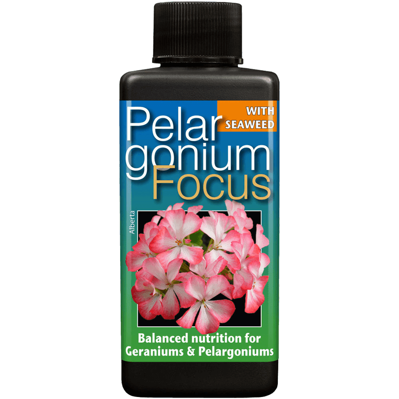 Geranium Focus 100ml