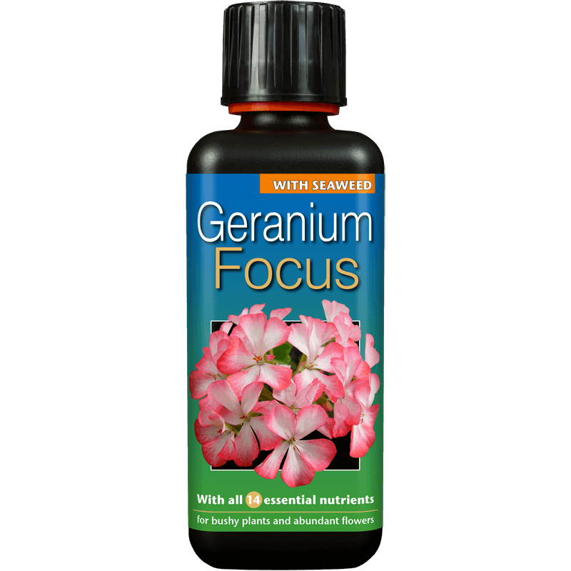 Geranium Focus 300ml