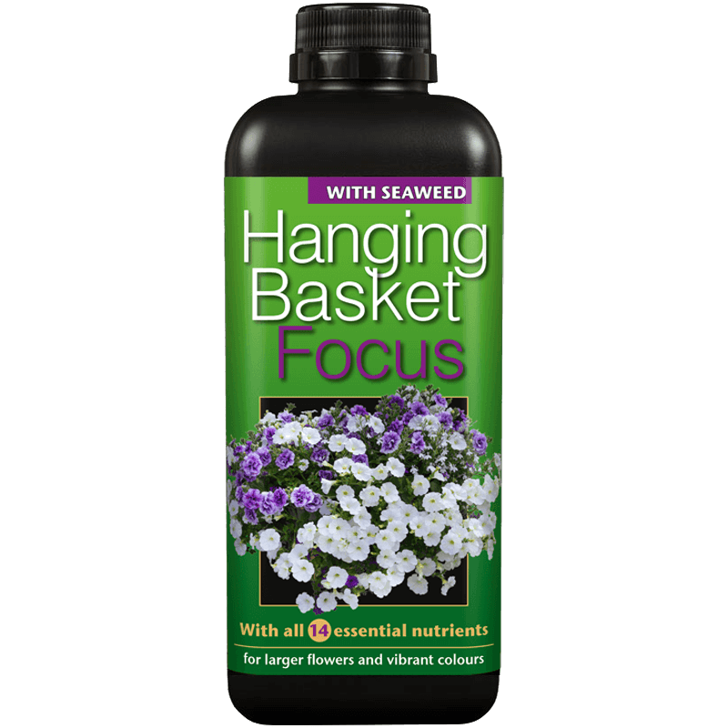 Hanging Basket Focus 1L