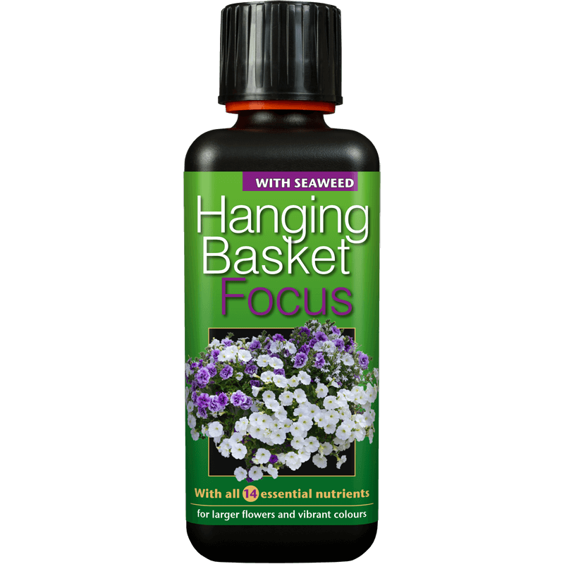 Hanging Basket Focus 300ml