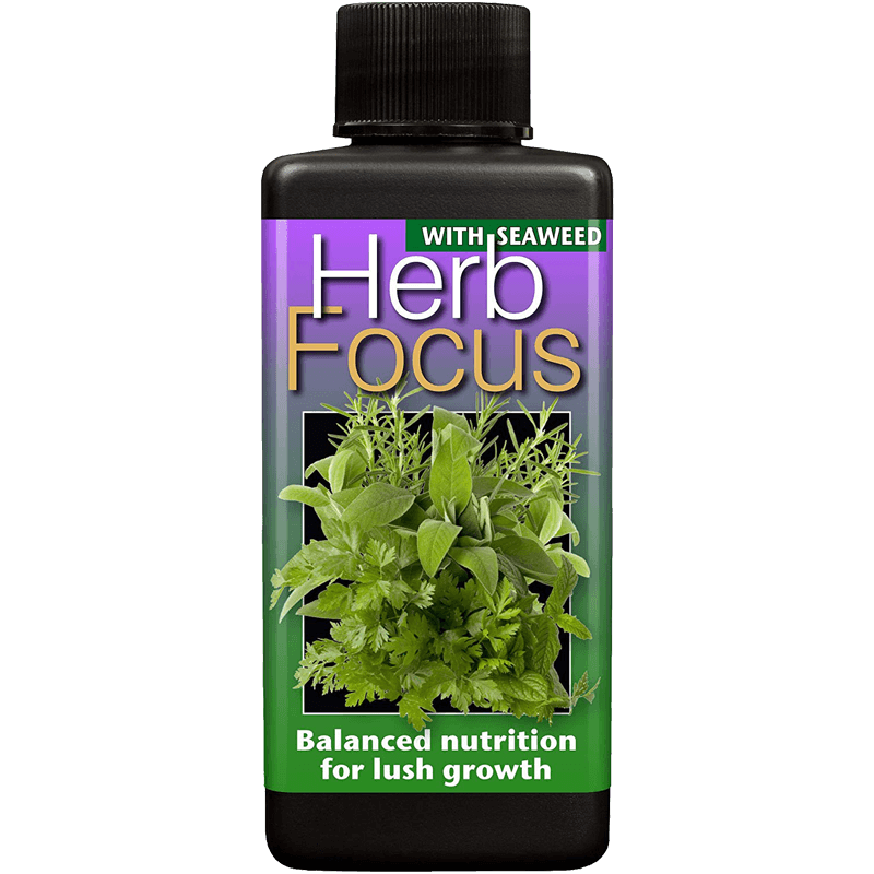 Herb Focus 100ml