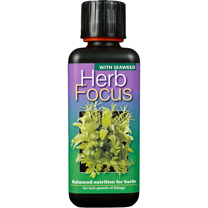 Herb Focus 300ml