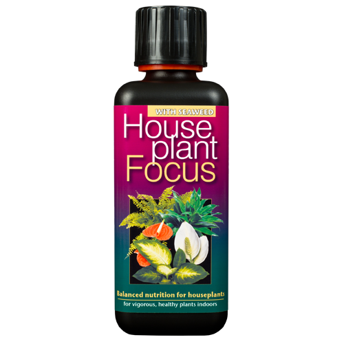 Houseplant Focus 300ml