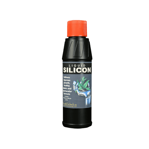 Liquid Silicon 250ml