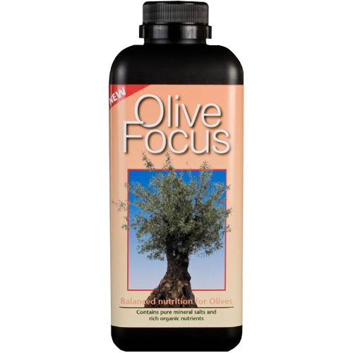 Olive Focus 1L