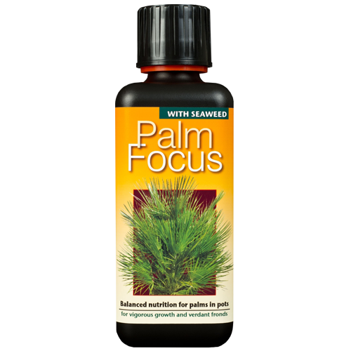 Palm Focus 300ml