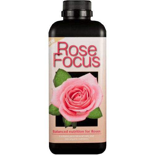 Rose Focus 1L