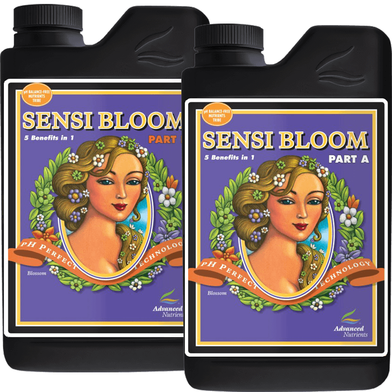 Sensi Bloom AB 1L