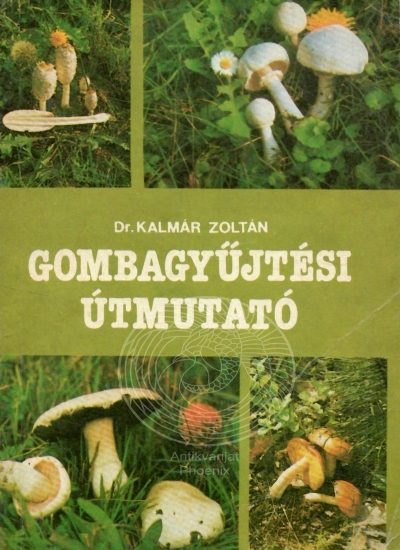 Gombagyűjtési útmutató
