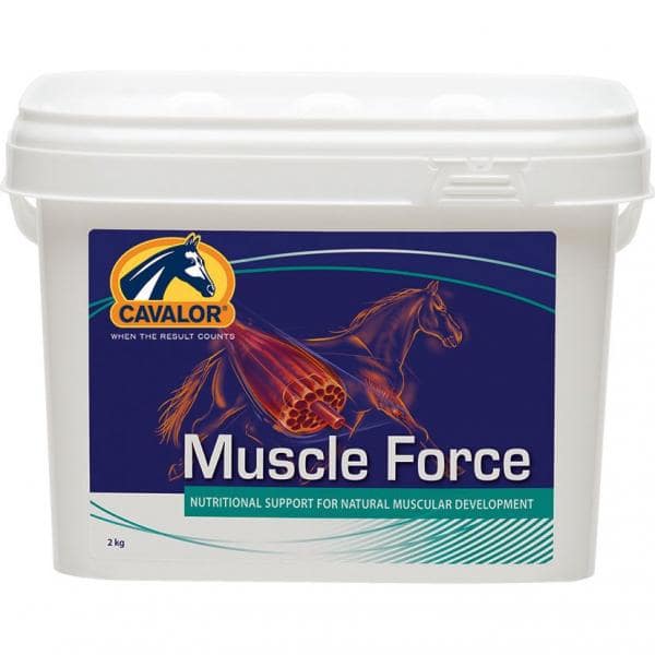 Muscle Force