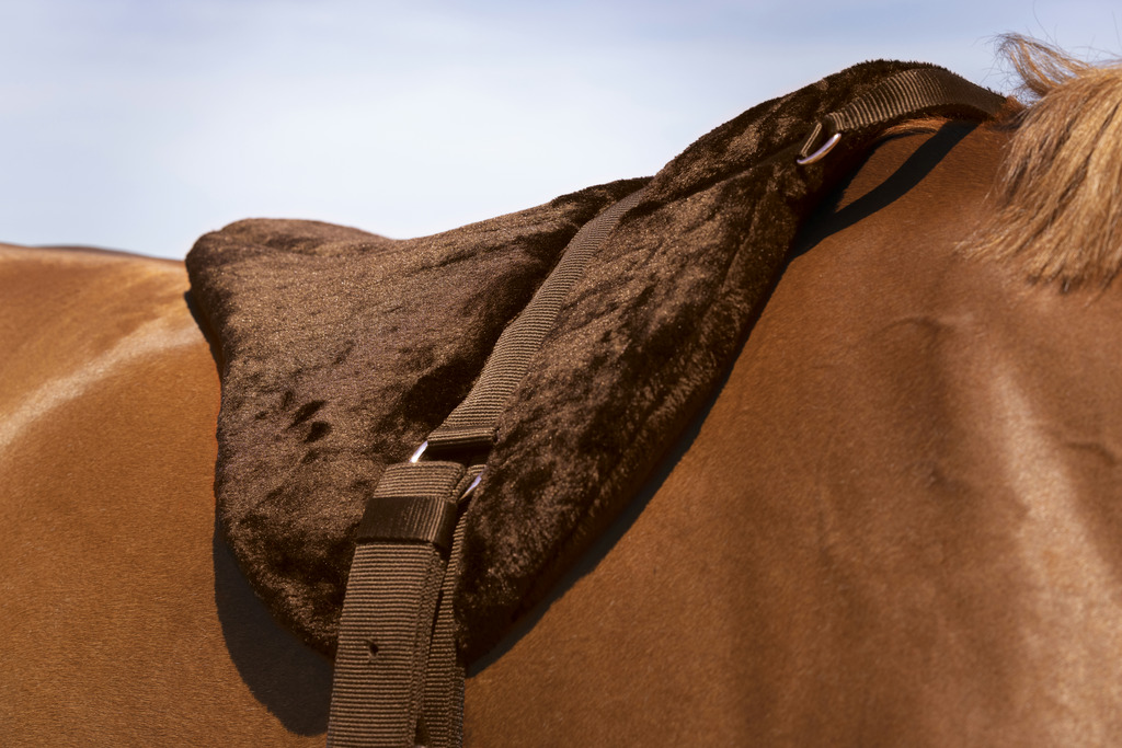 Sedlo Bareback Confort