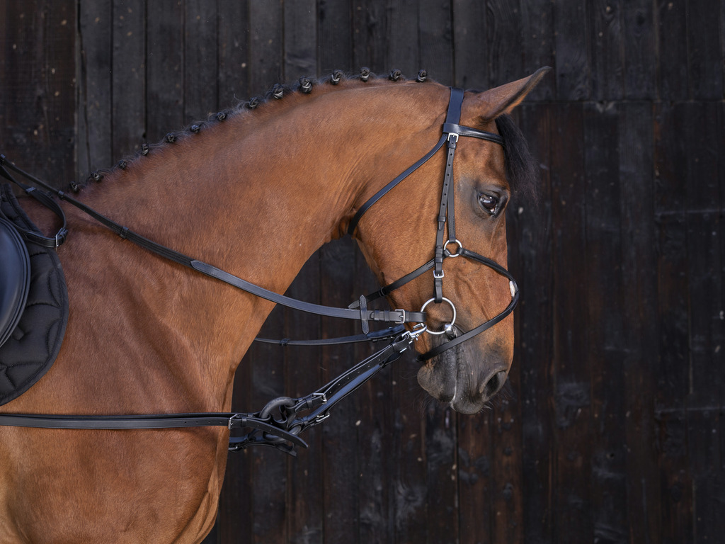 Pomoćni dizgin sa gumiranim prstenovima Riding World