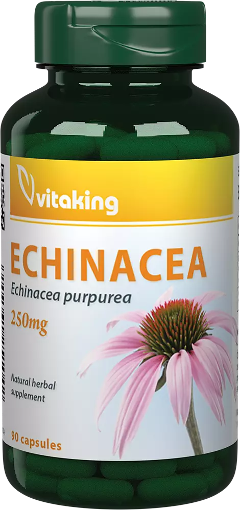 Echinacea (90 kap.)