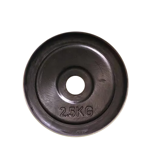 Gumeni disk uteg 2,5 kg (2,5 kg)