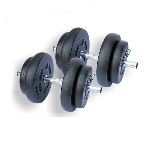 Dumbbell set 2x15,5kg (set)