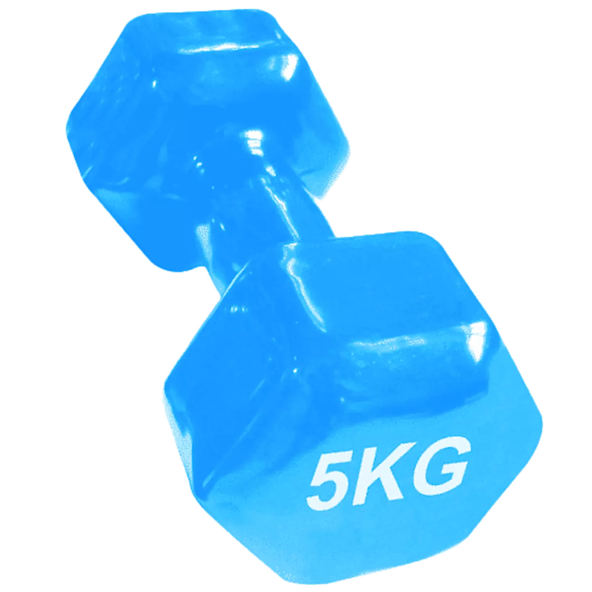 1 pair of 5 kg hexagonal metal dumbbells with plastic coating (par)