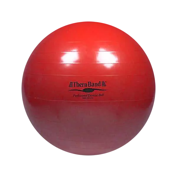 Gymnastic ball 55cm