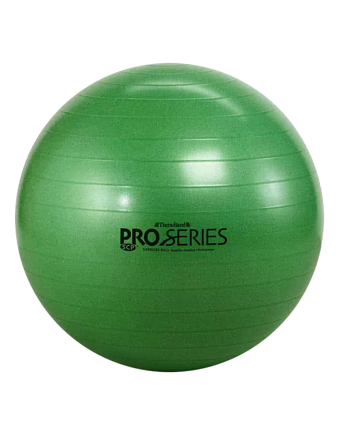 ProSeries Premium Gymnastic ball 65 cm