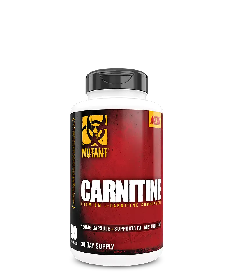 L-Carnitine (90 kap.)